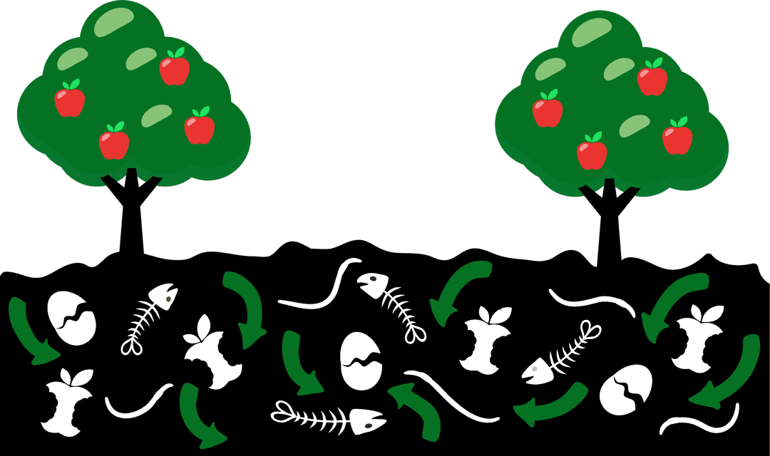 Composting Basics : All you need to know - GreenSutra®