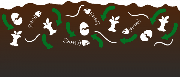 Vermicomposting : Basics and Facts - GreenSutra® | India