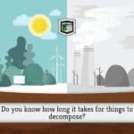 How long does it take for things to Decompose? - GreenSutra®