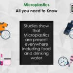 Microplastics: All you need to Know - GreenSutra®